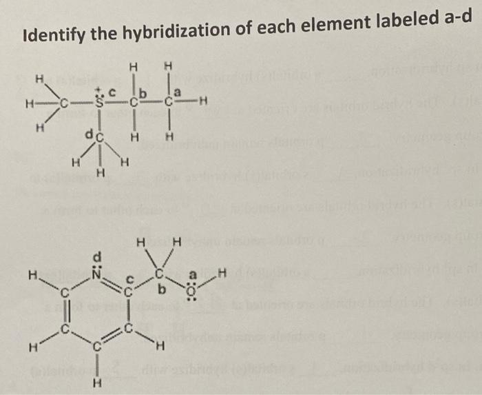 Solved Identify the hybridization of each element labeled | Chegg.com