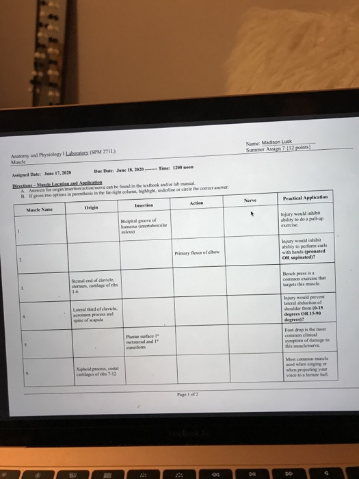 Solved Name: Madison Lusk Summer Assien 7 (12 points Anatomy | Chegg.com