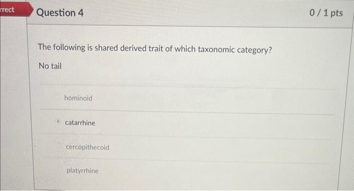 Solved The following is shared derived trait of which | Chegg.com