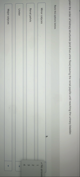 Solved plain the order of kidney structures (and thus urine | Chegg.com