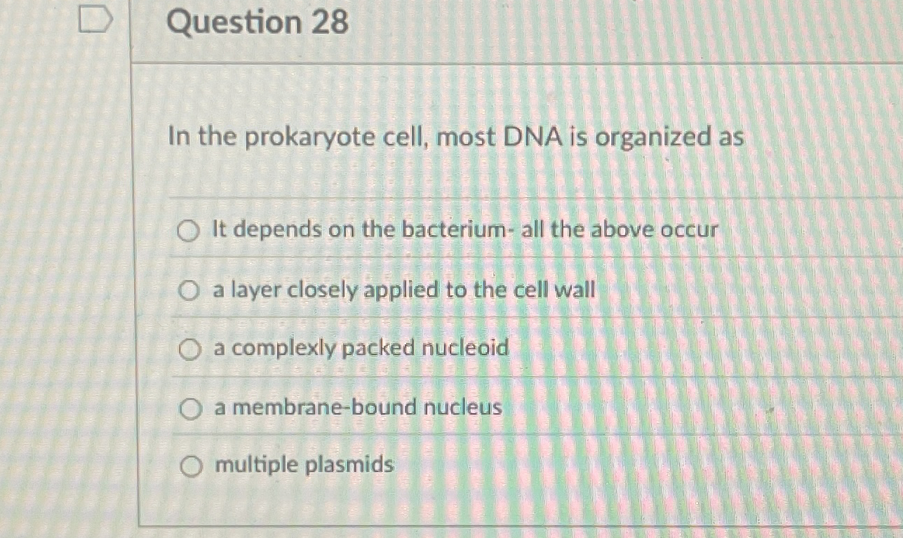 Solved Question 28In the prokaryote cell, most DNA is | Chegg.com