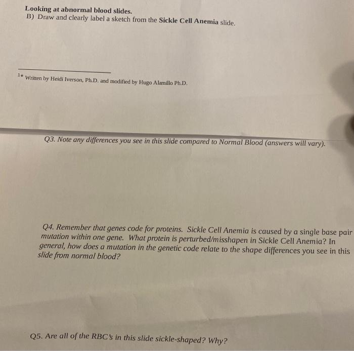 Solved Looking at abnormal blood slides. B) Draw and clearly | Chegg.com