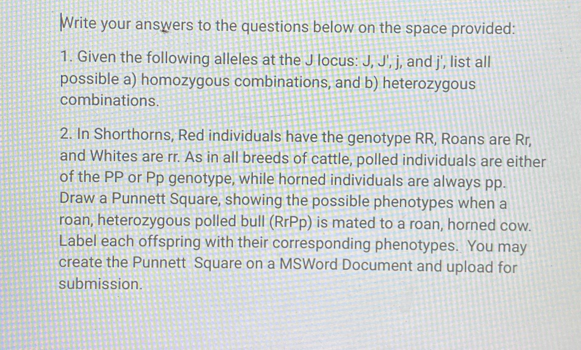 Solved Write your answers to the questions below on the | Chegg.com