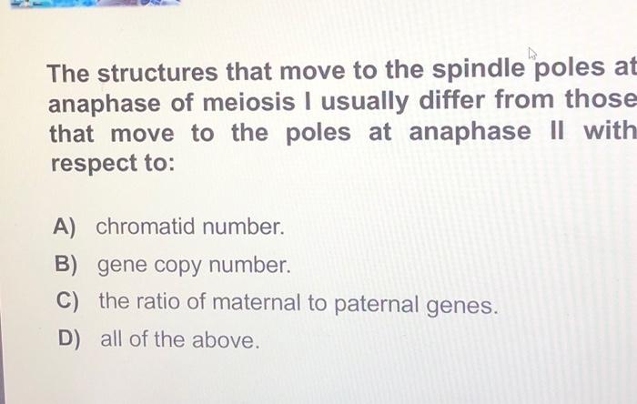Solved The structures that move to the spindle poles at | Chegg.com