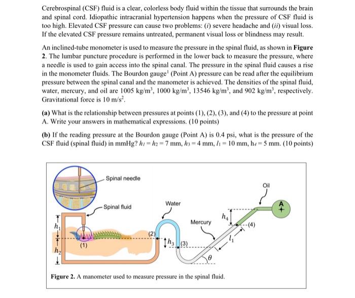 Solved Cerebrospinal (CSF) fluid is a clear, colorless body | Chegg.com
