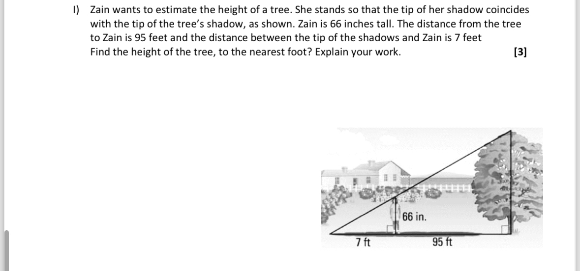 Solved I) ﻿Zain wants to estimate the height of a tree. She | Chegg.com
