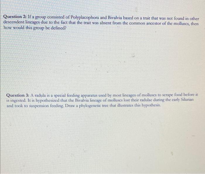 Solved Question 2: If a group consisted of Polyplacophora | Chegg.com