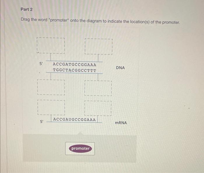 Solved Answer the following questions based on the diagrams | Chegg.com
