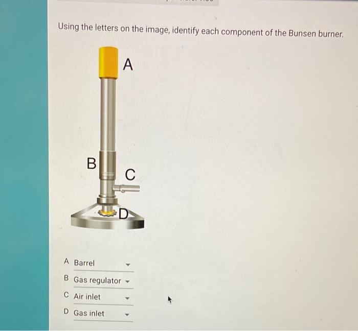 Solved Using the letters on the image, identify each | Chegg.com