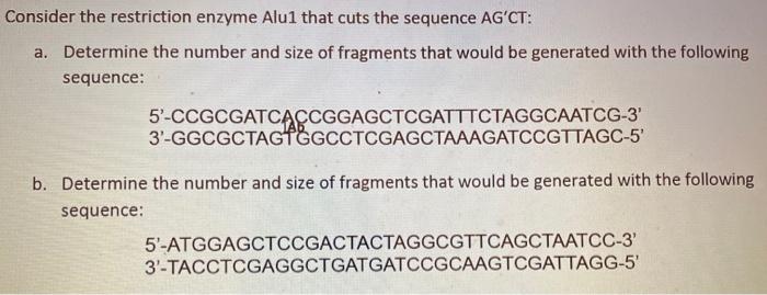 Solved Consider the restriction enzyme Alu1 that cuts the | Chegg.com