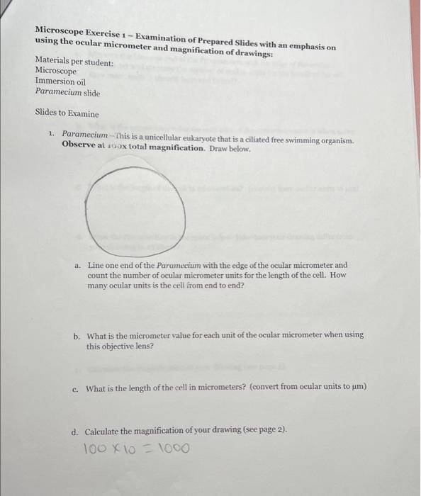 Solved Microscope Exercise 1 - Examination of Prepared | Chegg.com