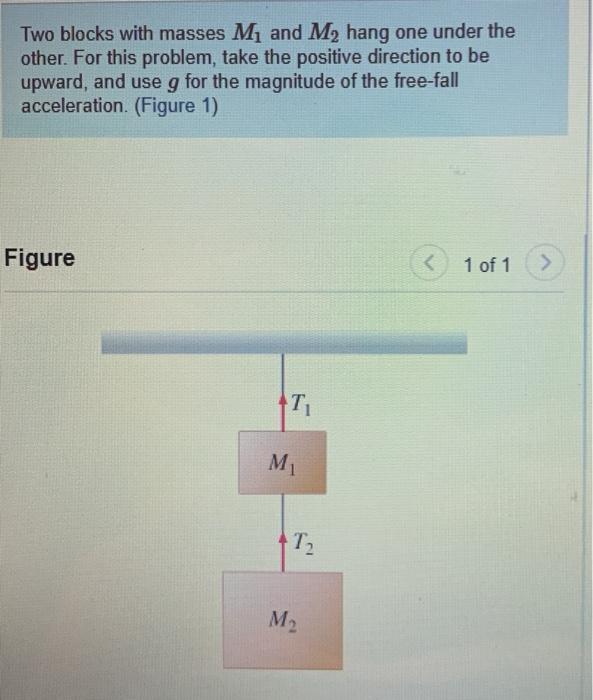 Solved Two blocks with masses My and M2 hang one under the | Chegg.com