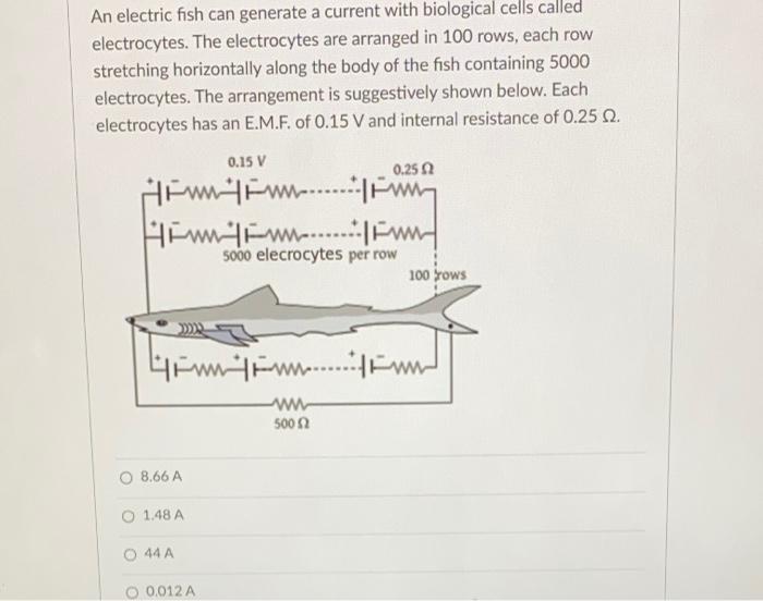 Solved An electric fish can generate a current with | Chegg.com