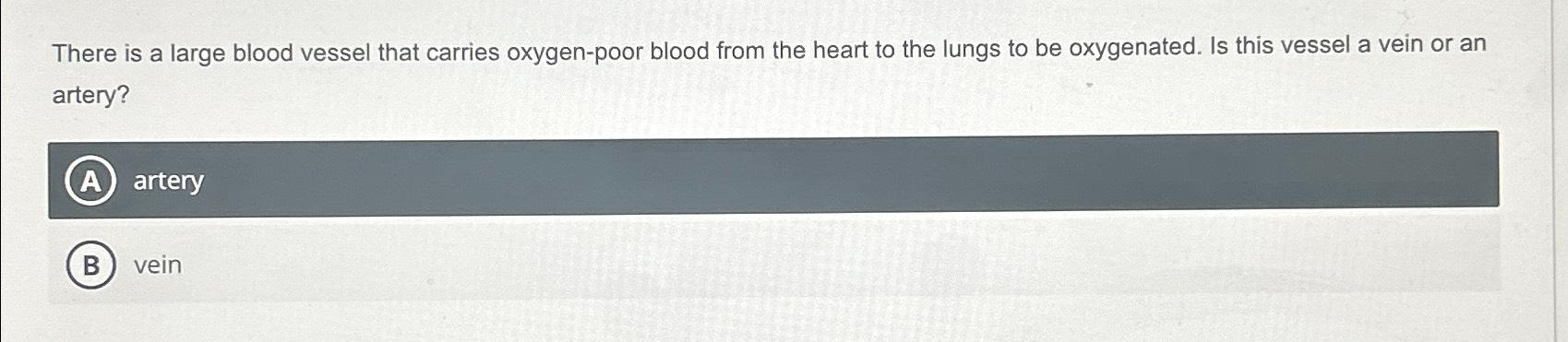 Solved There is a large blood vessel that carries | Chegg.com