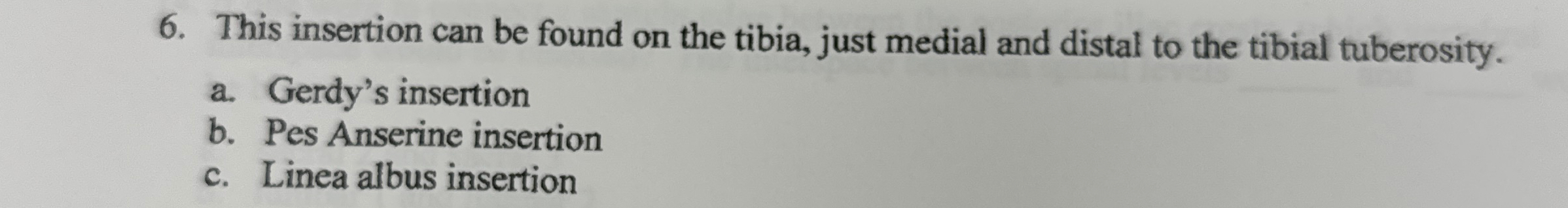 Solved This insertion can be found on the tibia, just medial | Chegg.com