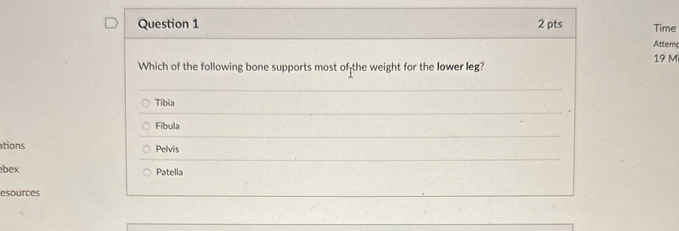 Solved Question 12 ﻿ptsWhich of the following bone supports | Chegg.com