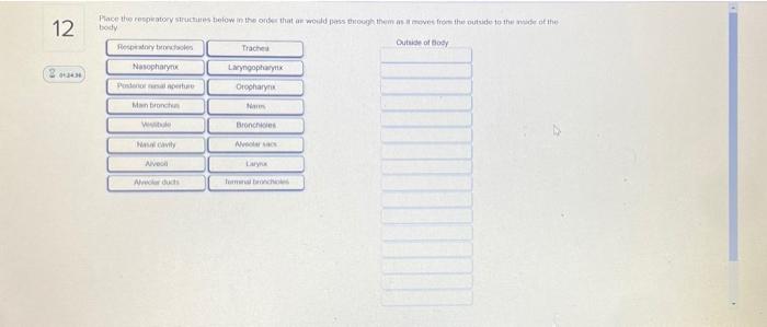 Solved Place the respiratory structures below in the order | Chegg.com