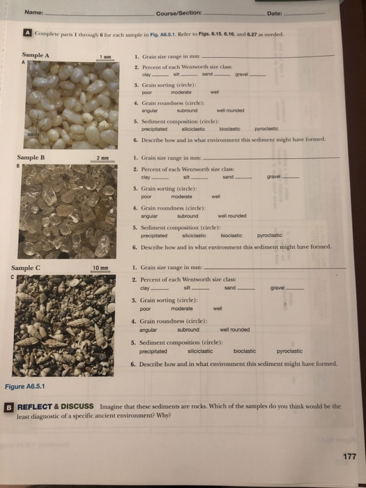Solved Name: Course/Section Date: A Complete parts through 6 | Chegg.com