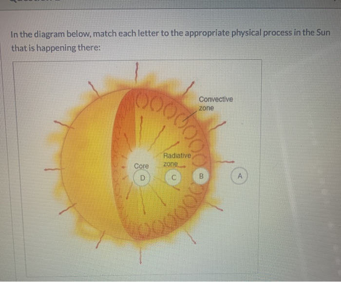 Solved In the diagram below, match each letter to the | Chegg.com