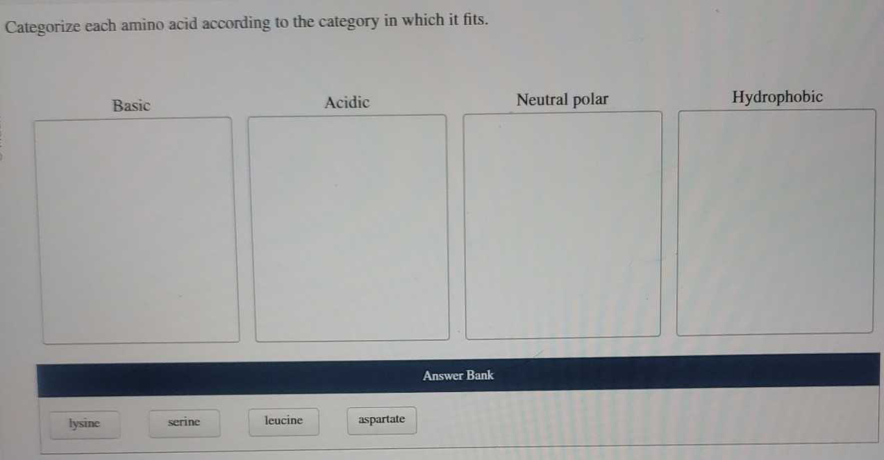 Solved Categorize each amino acid according to the category | Chegg.com
