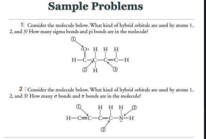 Solved Sample Problems 1 Consider the molecule below. What | Chegg.com