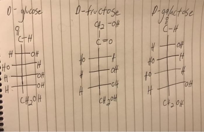 Solved i was instructed to draw the open chain forms of | Chegg.com