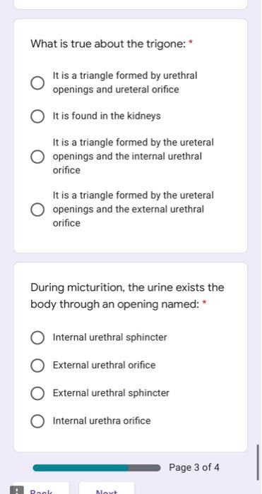 Solved What is true about the trigone: * It is a triangle | Chegg.com