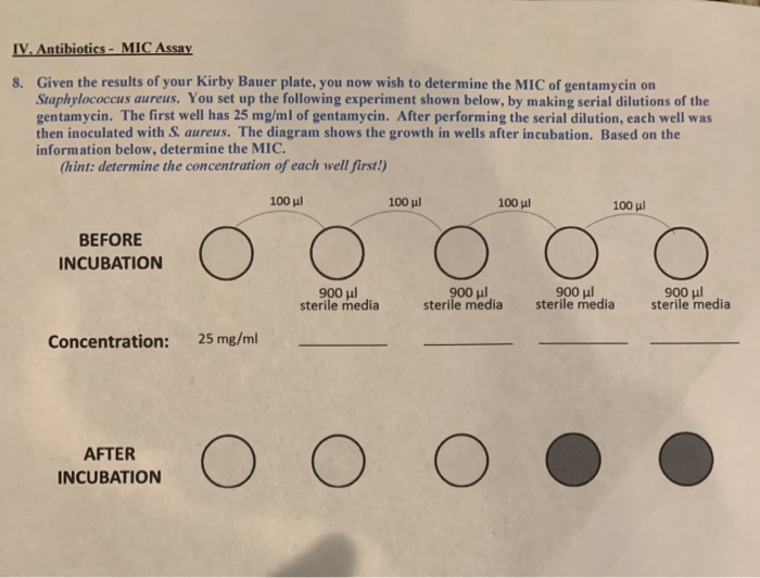 Solved IV. Antibiotics - MIC Assay 8. Given the results of | Chegg.com
