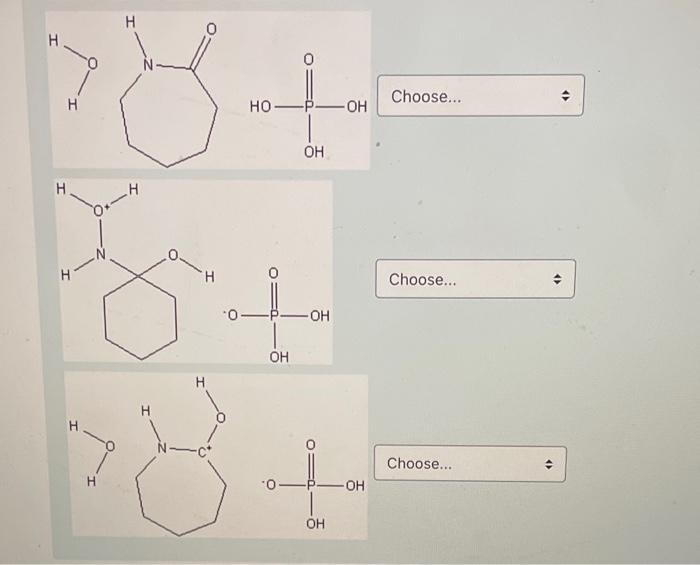 Solved Match each set of structures to its place in the | Chegg.com