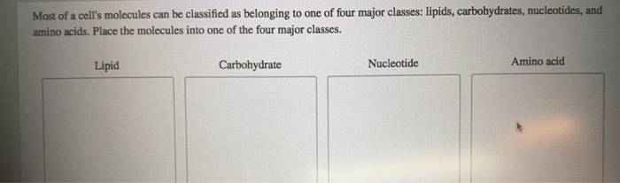 Solved Most of a cell's molecules can be classified as | Chegg.com