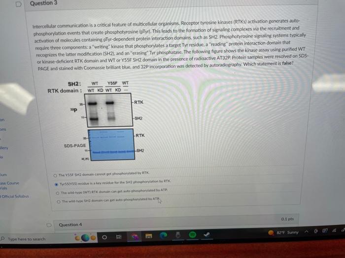 Intercellular communication is a critical feature of | Chegg.com