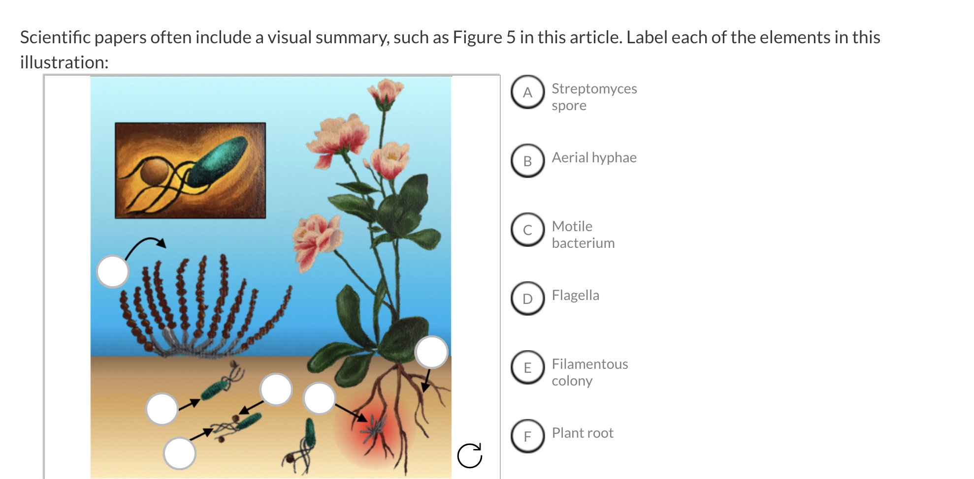 Solved Scientific papers often include a visual summary, | Chegg.com