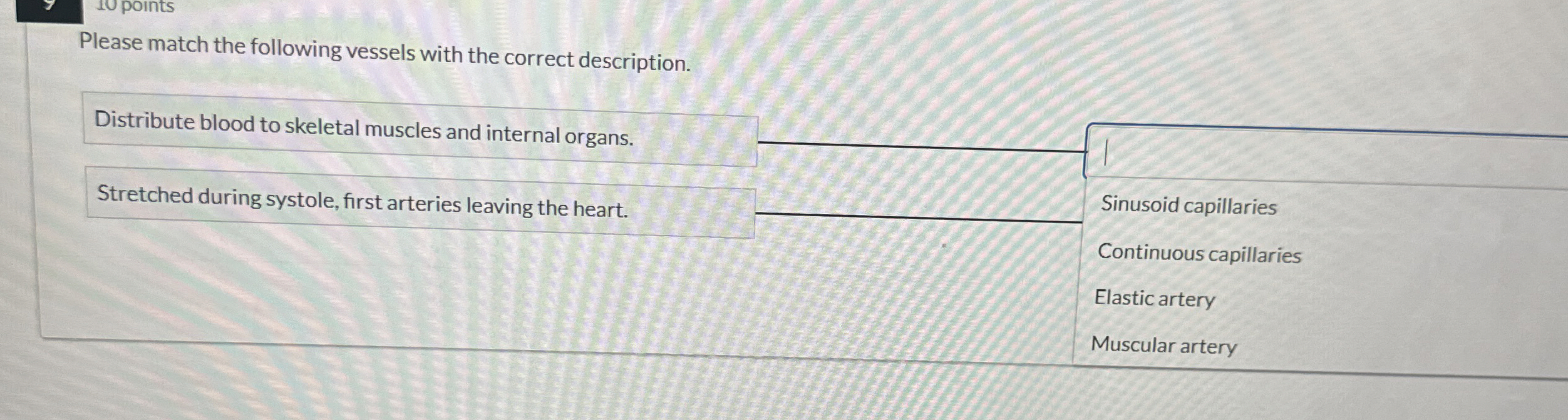 Solved Please match the following vessels with the correct | Chegg.com