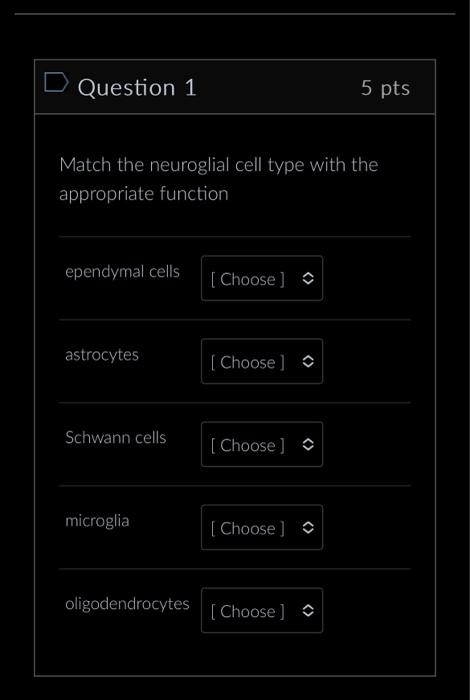 Solved ependymal cells Question 2 5 pts Match the | Chegg.com