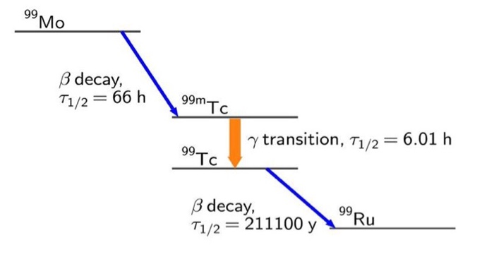 Solved Initially, You have 1 Ci of Mo-99, it will decay into | Chegg.com