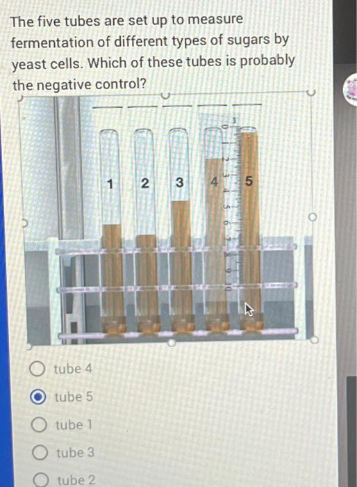Solved The five tubes are set up to measure fermentation of | Chegg.com