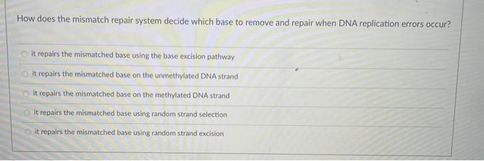 Solved How does the mismatch repair system decide which base | Chegg.com