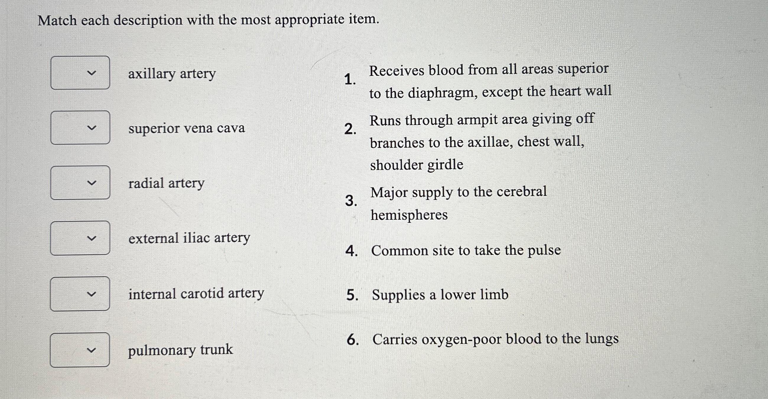 Solved Match each description with the most appropriate | Chegg.com
