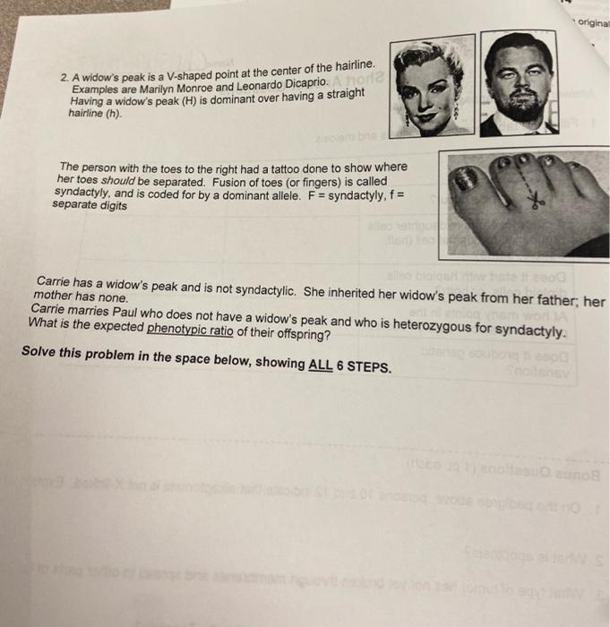 Solved original 2. A widow's peak is a V-shaped point at the | Chegg.com