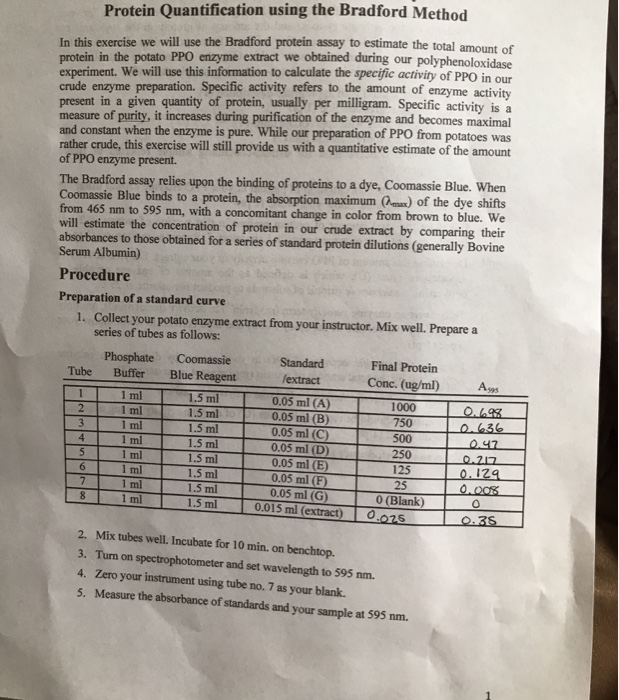 Protein Quantification using the Bradford Method In | Chegg.com