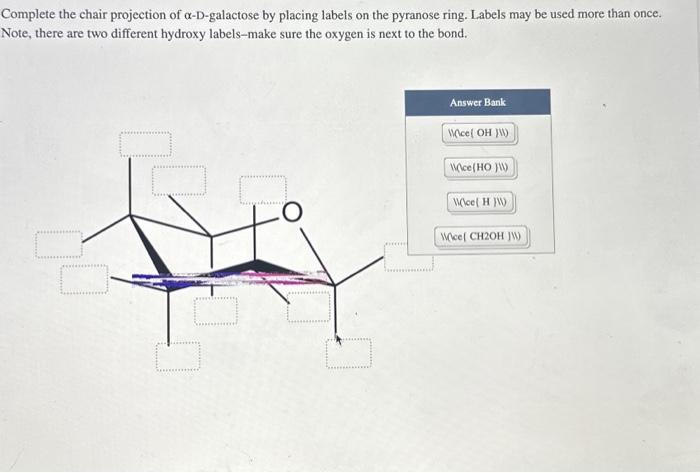 Solved Convert the Fischer projection to the Haworth | Chegg.com