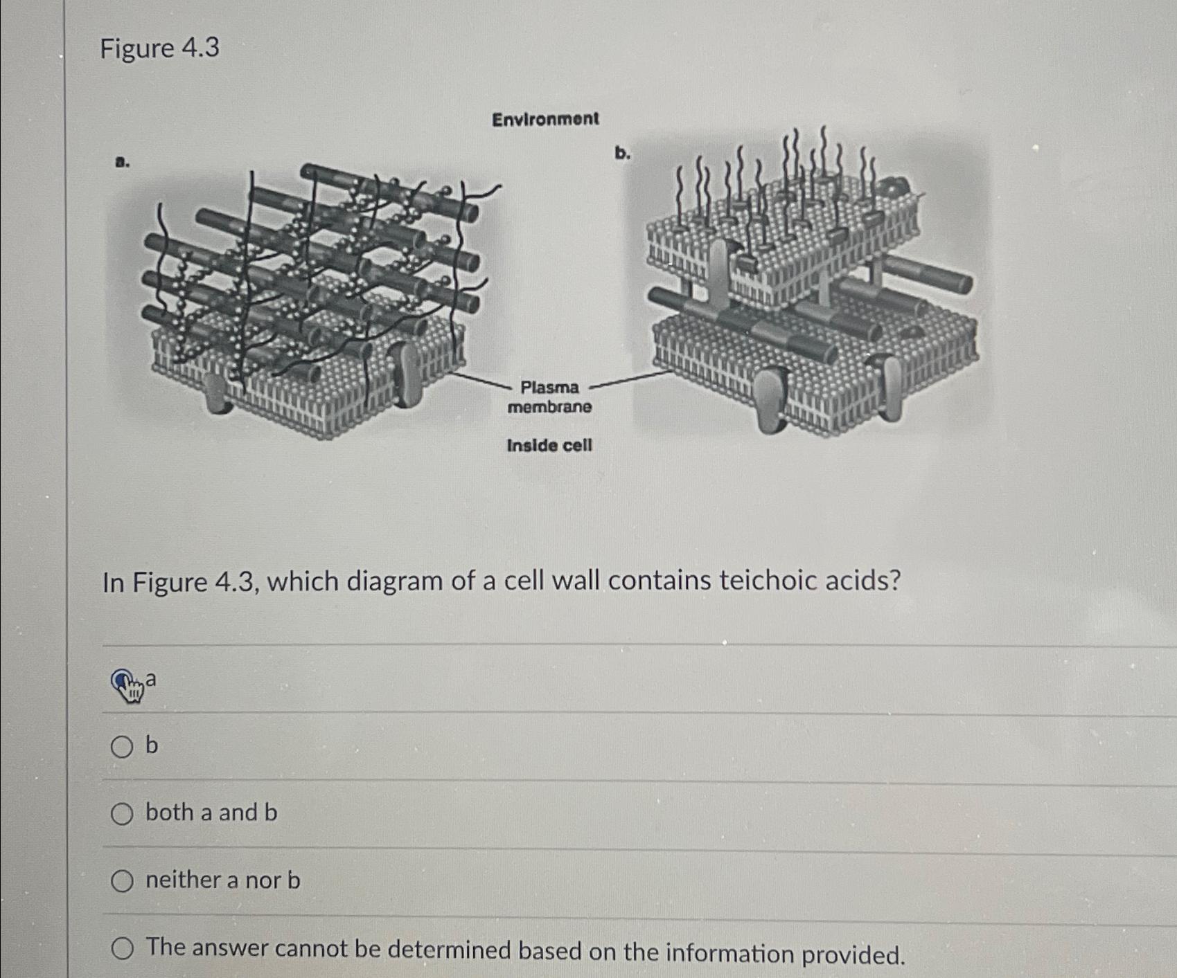 Solved Environmenta In The Figure Which Diagram Of A Cell Ch Solved Environmenta In The Figure Which Diagram Of A Cell Ch