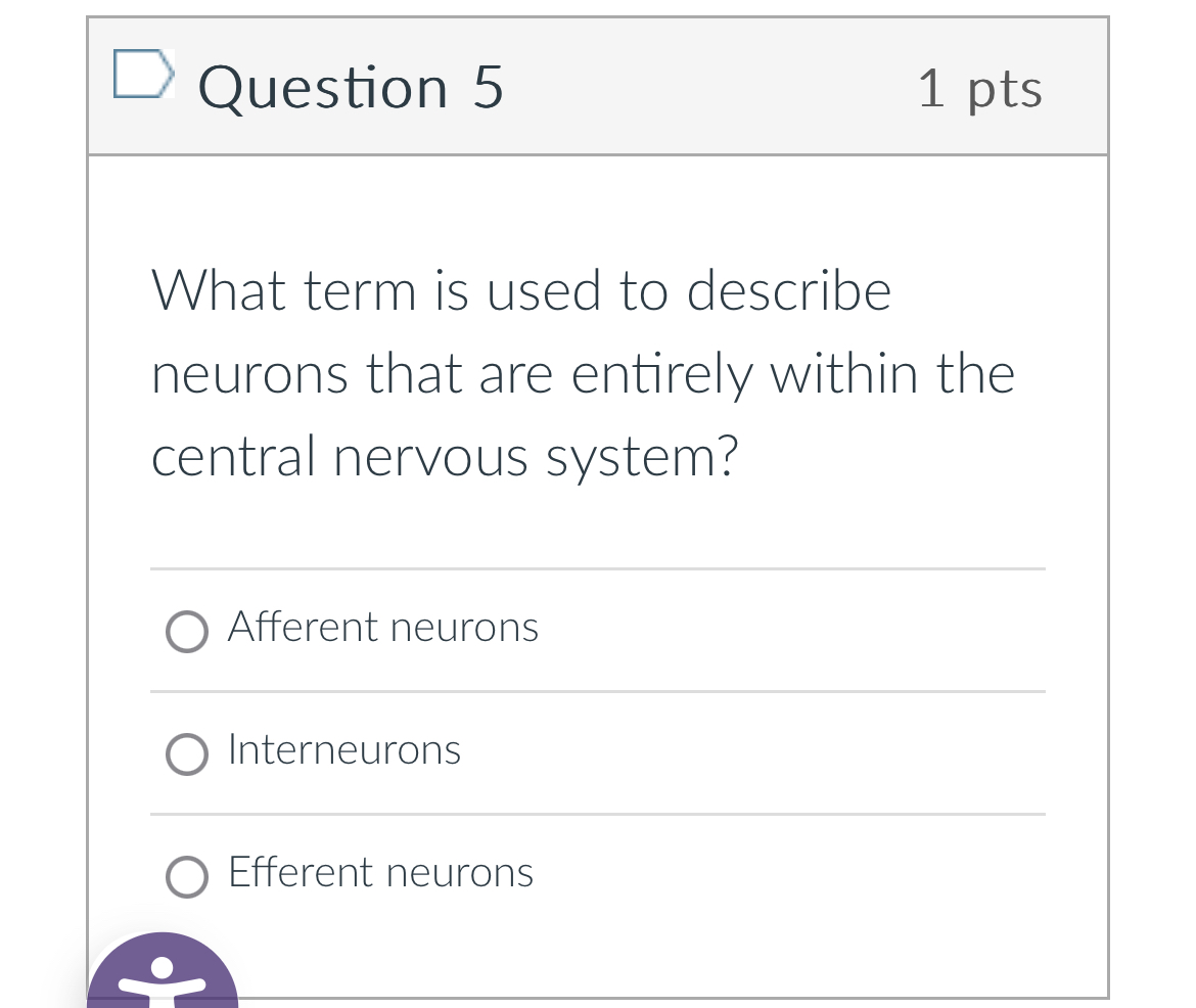 Solved Question 51ptsWhat term is used to describe neurons | Chegg.com