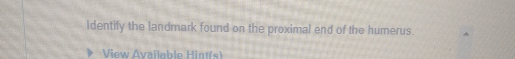 Solved Identify the landmark found on the proximal end of | Chegg.com