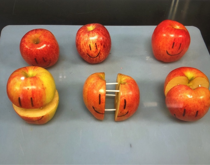 Solved Digitally label the correct plane and the 2 sections | Chegg.com