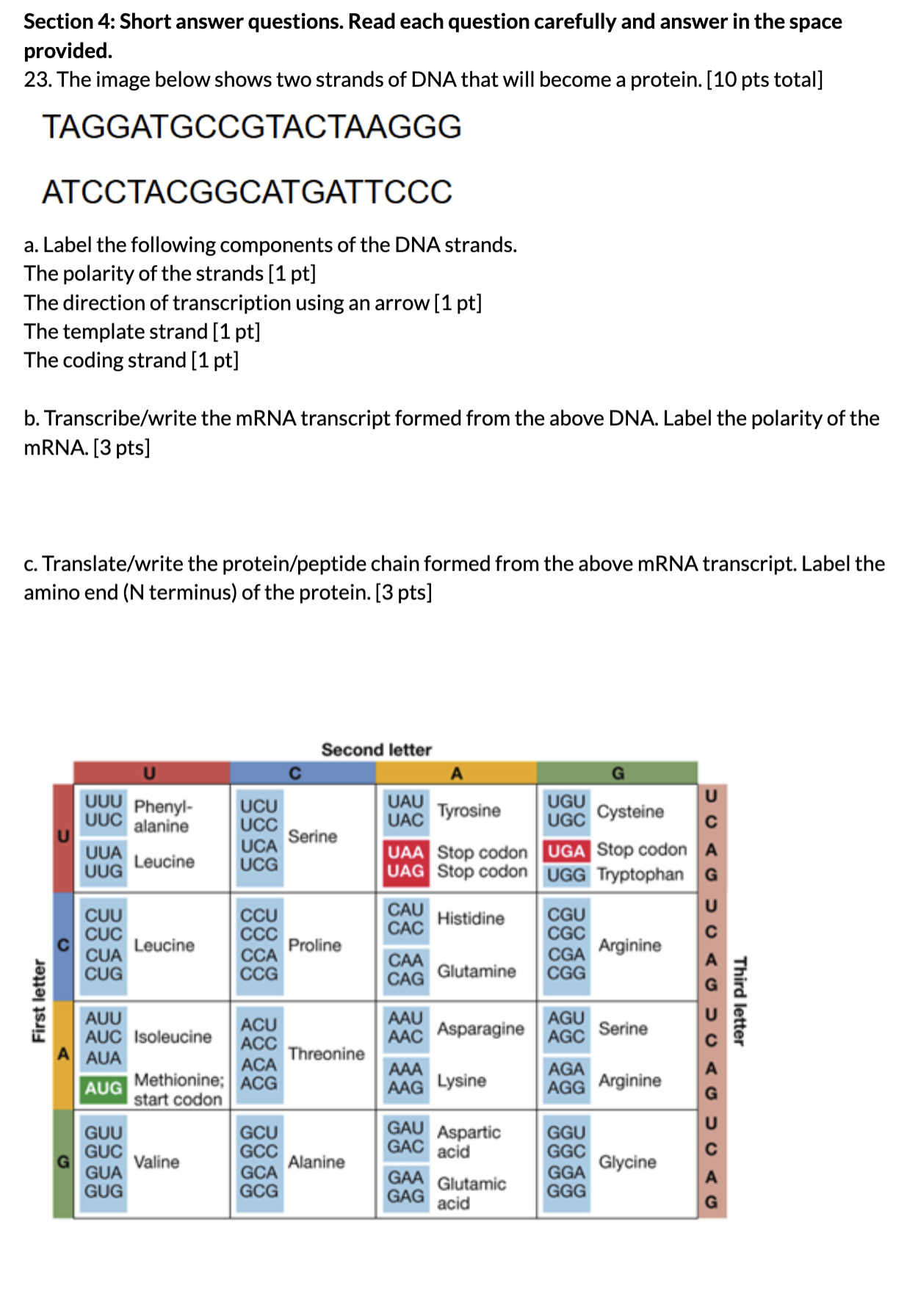 Solved Section 4: Short answer questions. Read each question | Chegg.com