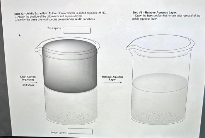 Solved Carefully consider at each step in the extraction if | Chegg.com