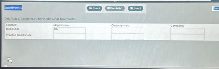Solved Record the total magnification of the photo and any | Chegg.com