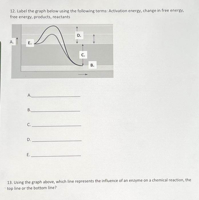Solved Label the graph below using the following terms: | Chegg.com