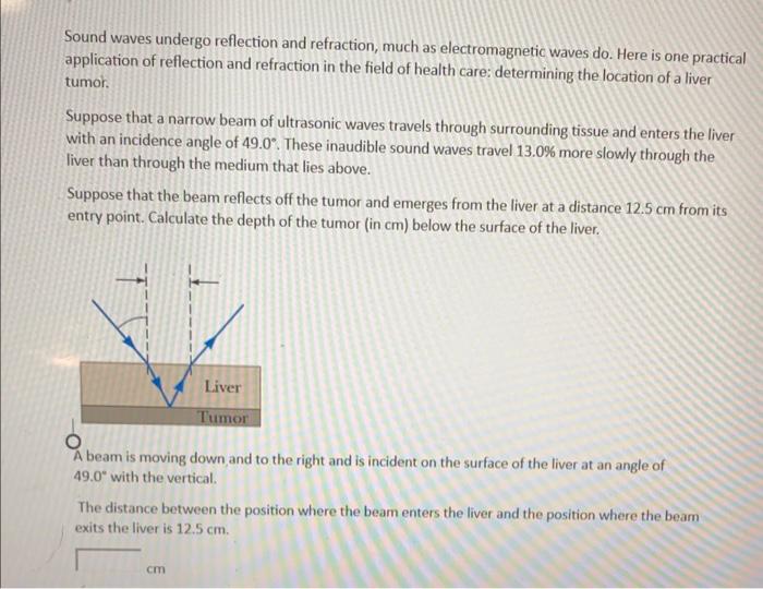 Solved Sound waves undergo reflection and refraction, much | Chegg.com